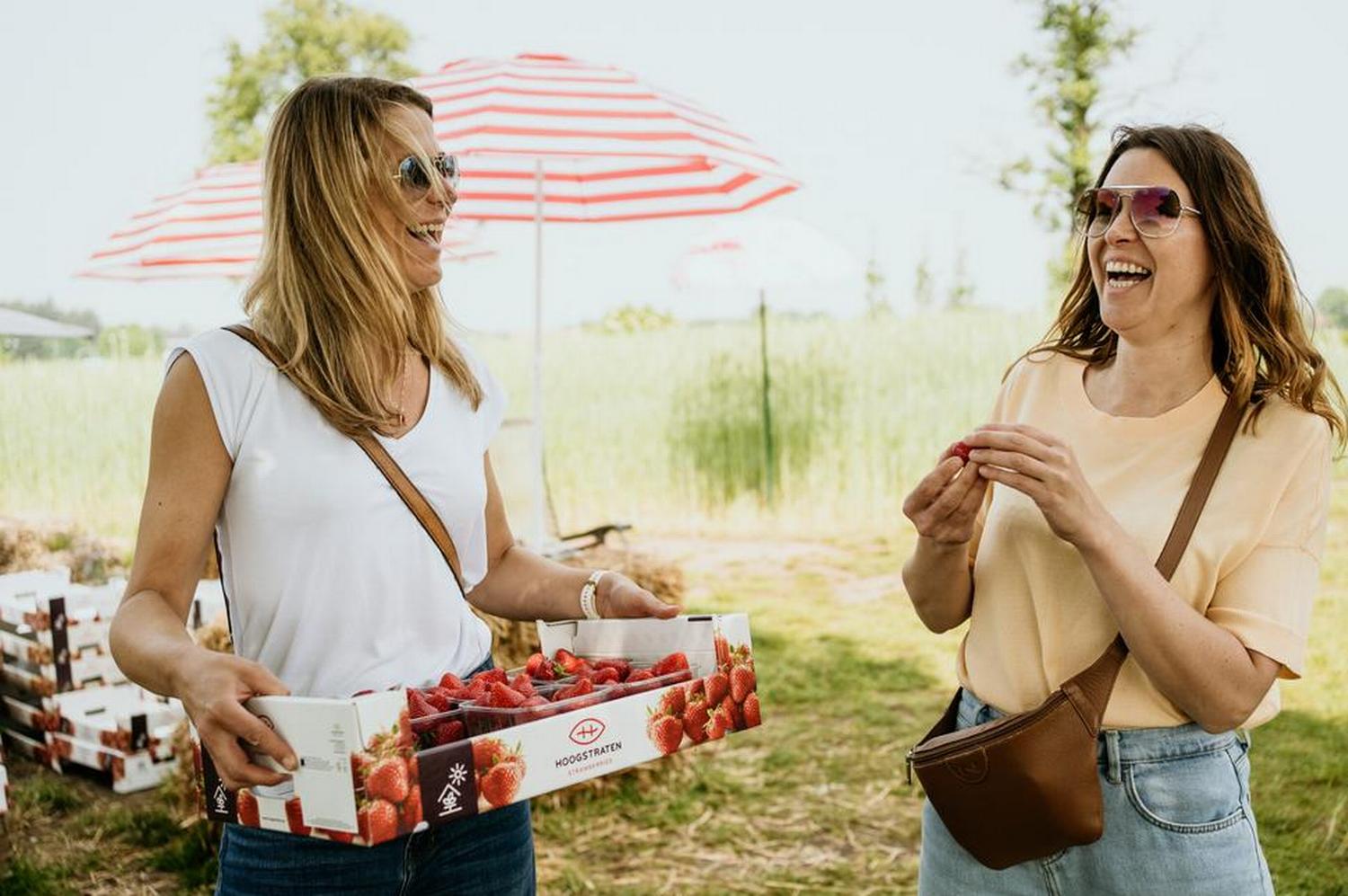 Horen, zien, voelen, proeven en ruiken: plan nu een tripje naar de ...
